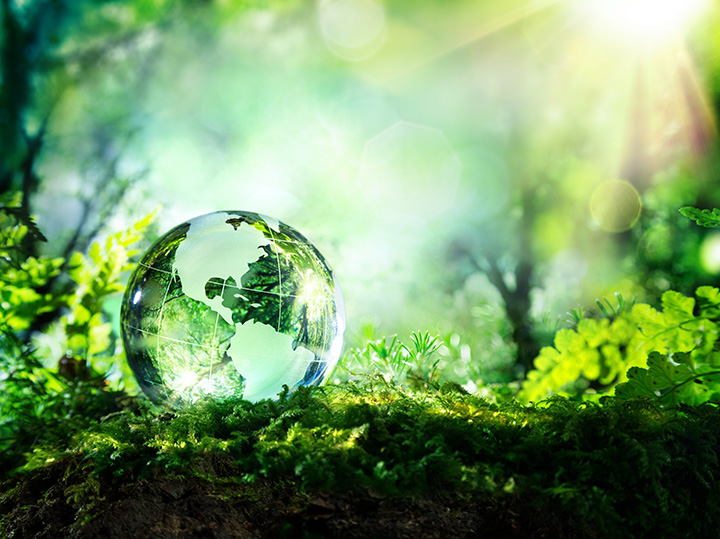 What’s Good for the Earth Can Be Good for Business, Too | Lifeblue